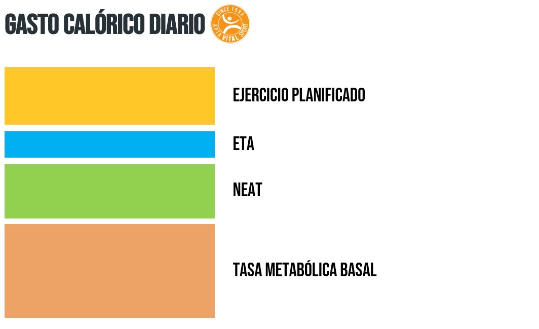 Qué es el efecto termogénico de los alimentos (ETA) – Revista Fitness